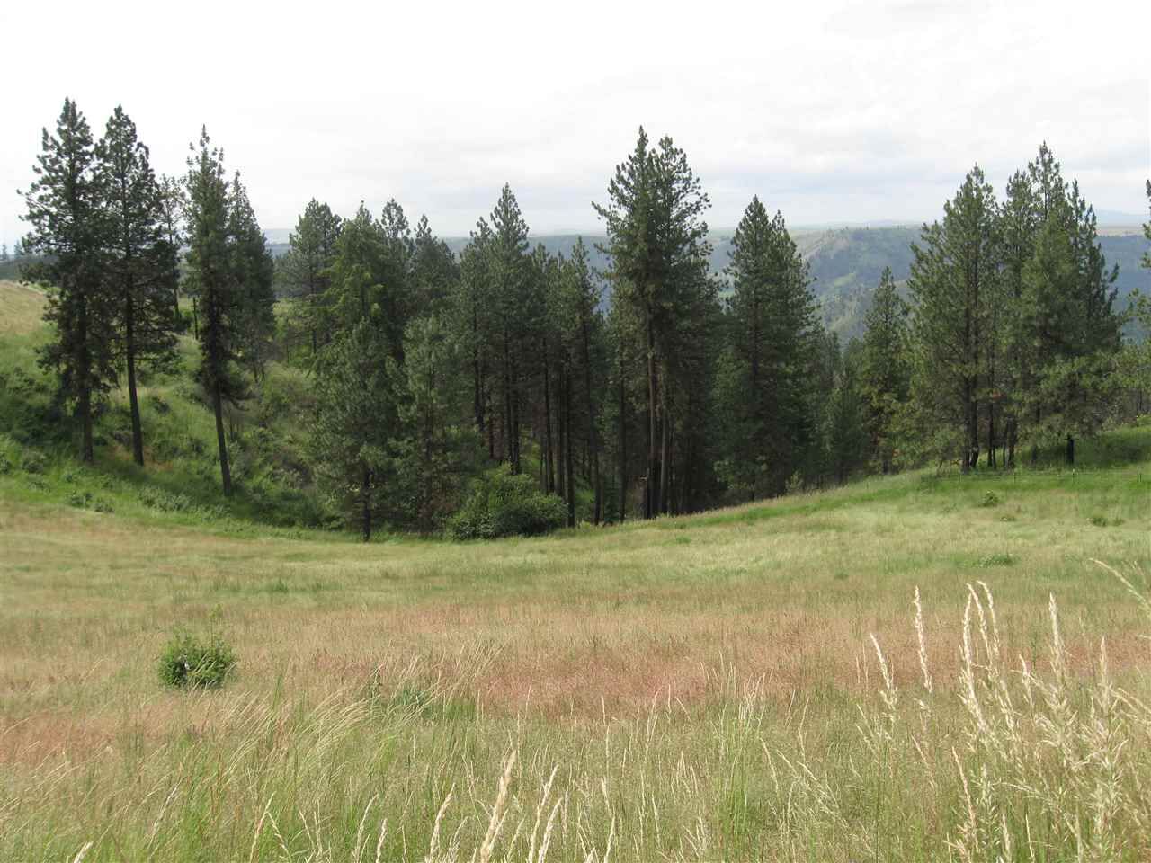 MLS#134915: Tbd Carrot Ridge Road, Kamiah, ID