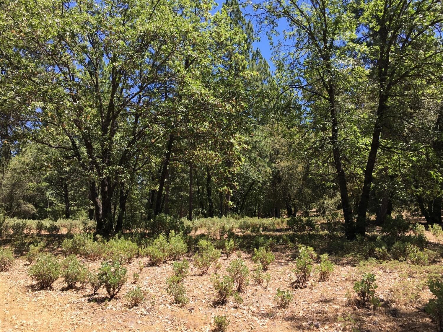 MLS#224023047: 0 Ridge Road, Rail Road Flat, CA 95248