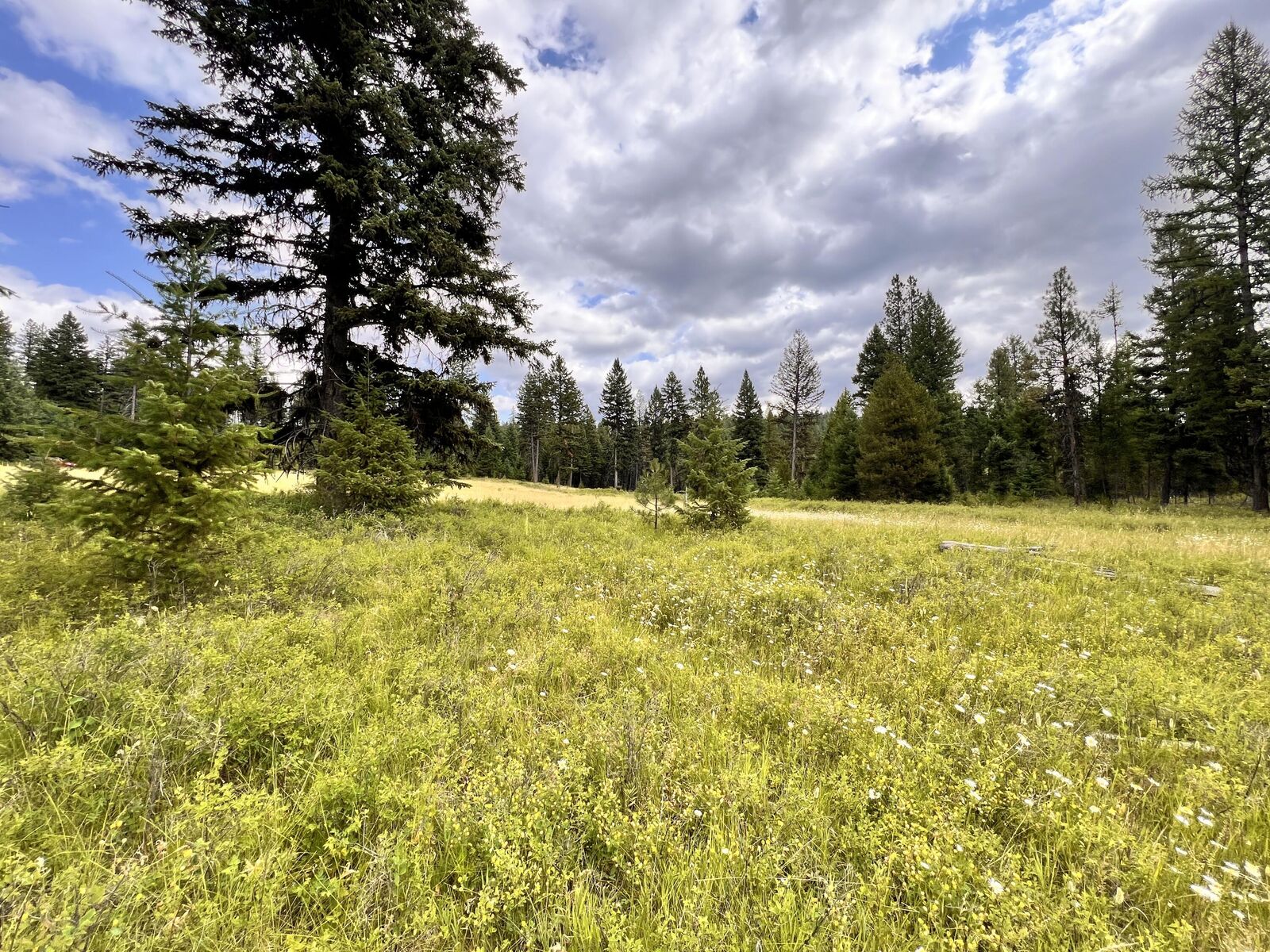 MLS#43778: 503 Swan Lake Rd, Republic, WA 99166