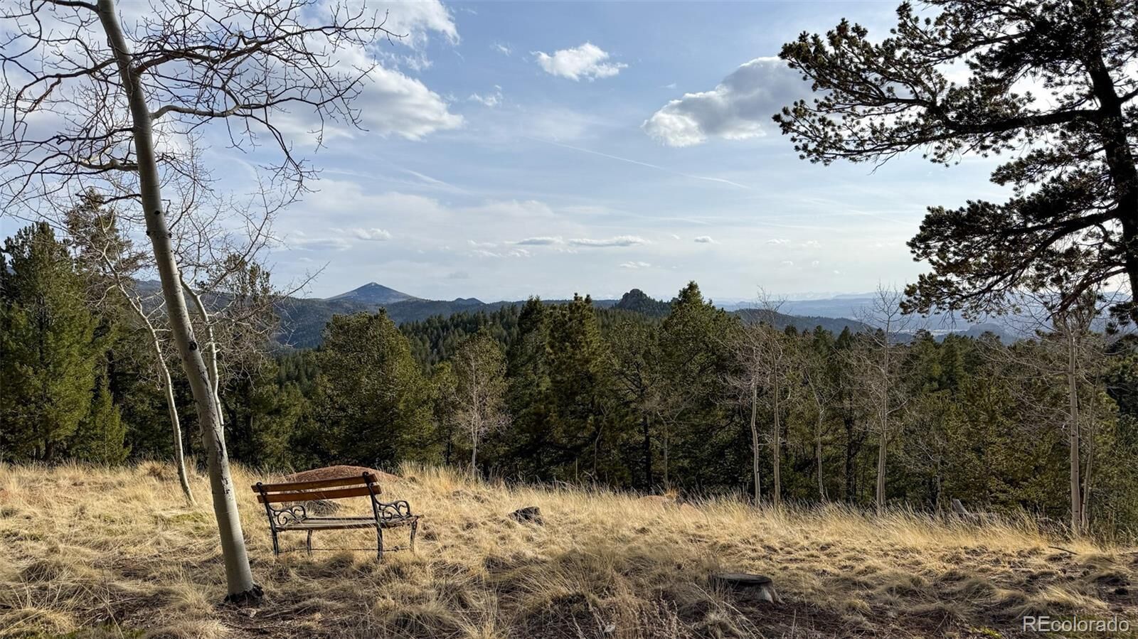 MLS#2892766: 239 Homestead Road, Divide, CO 80814